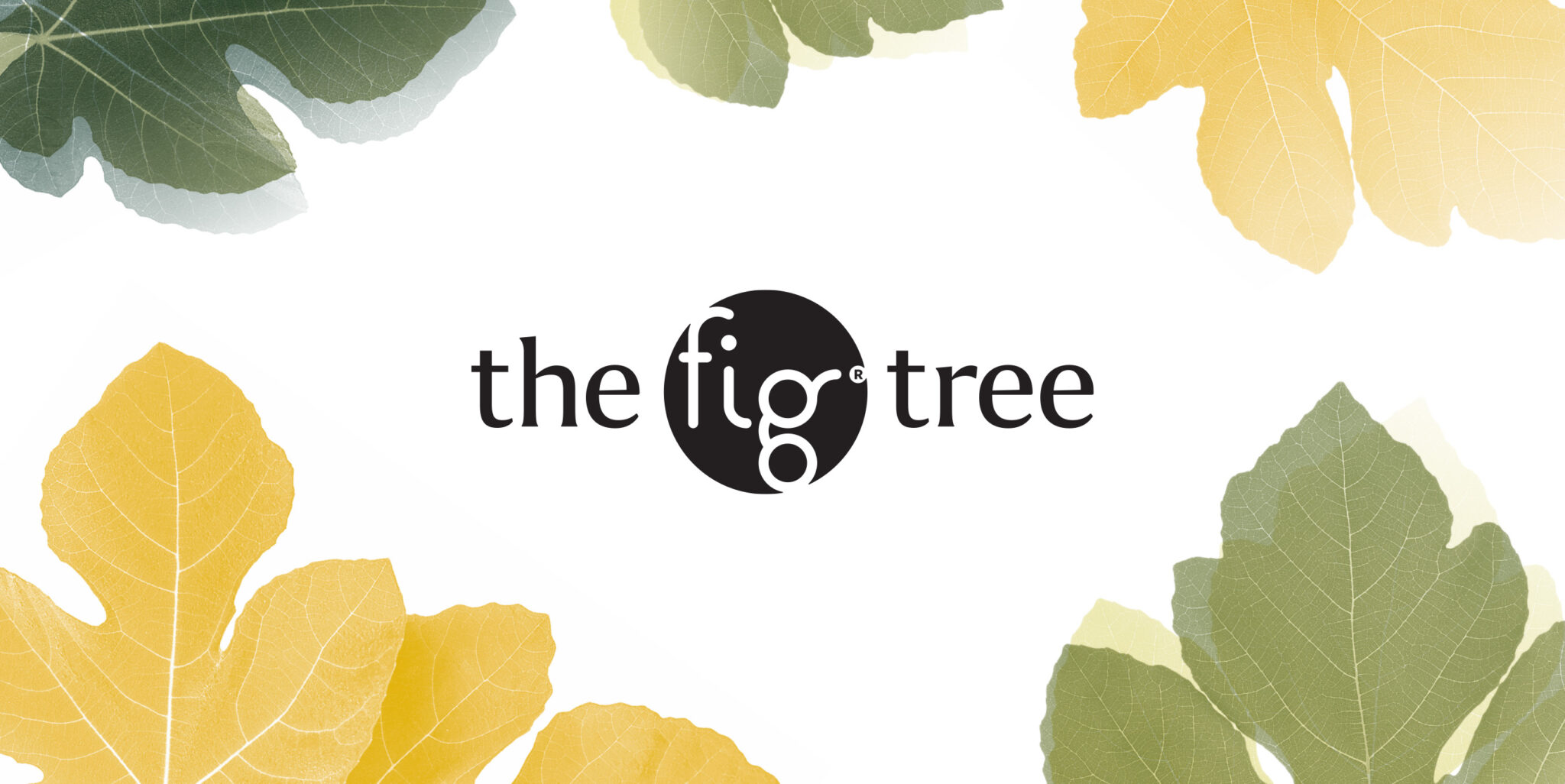 Introducing The Fig Tree - Fig Lancaster