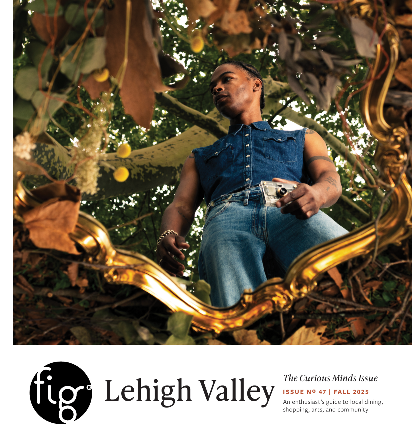 Fig Lehigh Valley Local Guide Home Page
